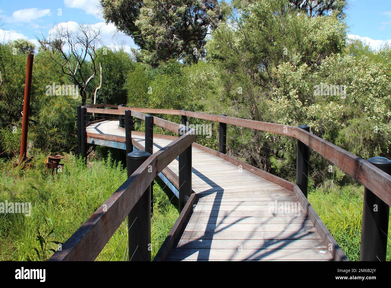 at yanchep national park in australia Stock Photo - Alamy