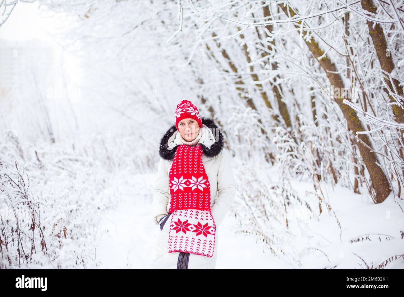 Portrait of happy young woman in winter forest. High quality photo ...