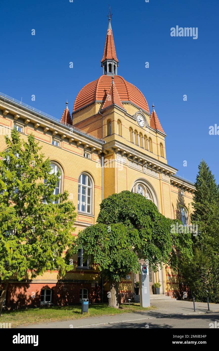 Former main building of Wilhelm Griesinger Hospital, today ...