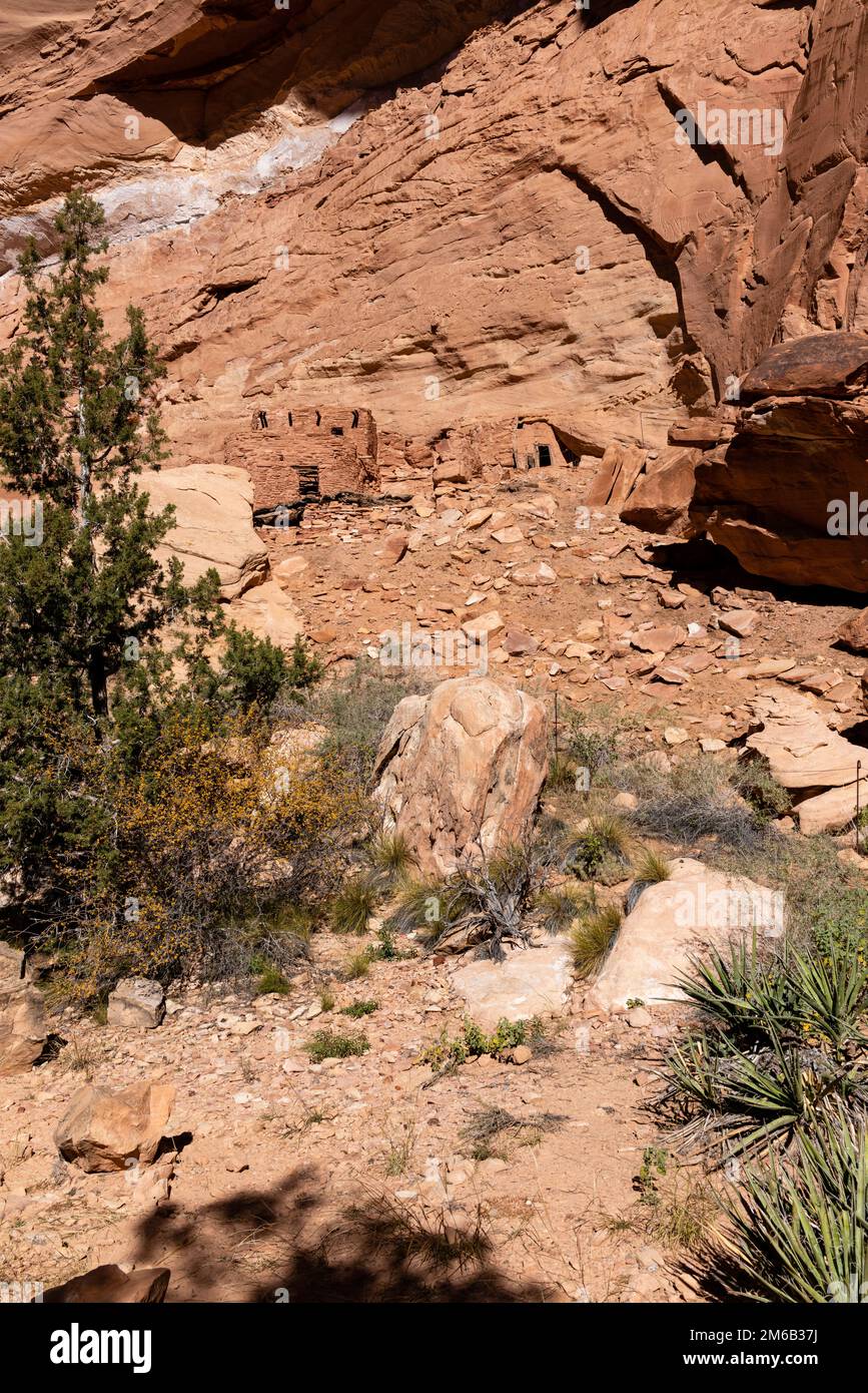 Split Level Ruin. Backpacking in Grand Gulch and viewing Anasazi ...