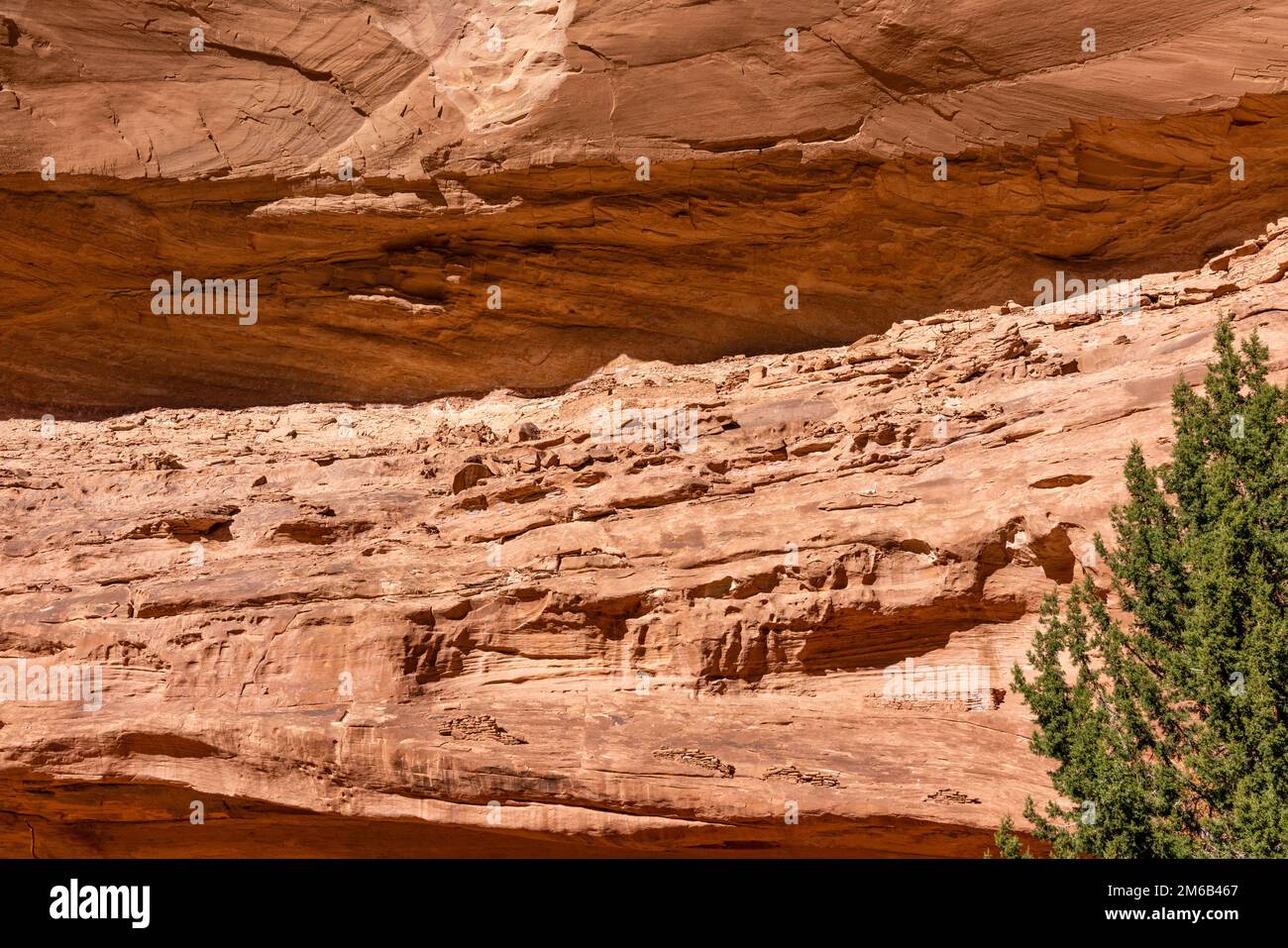 Cliff dwelling. Backpacking in Grand Gulch and viewing Anasazi ...
