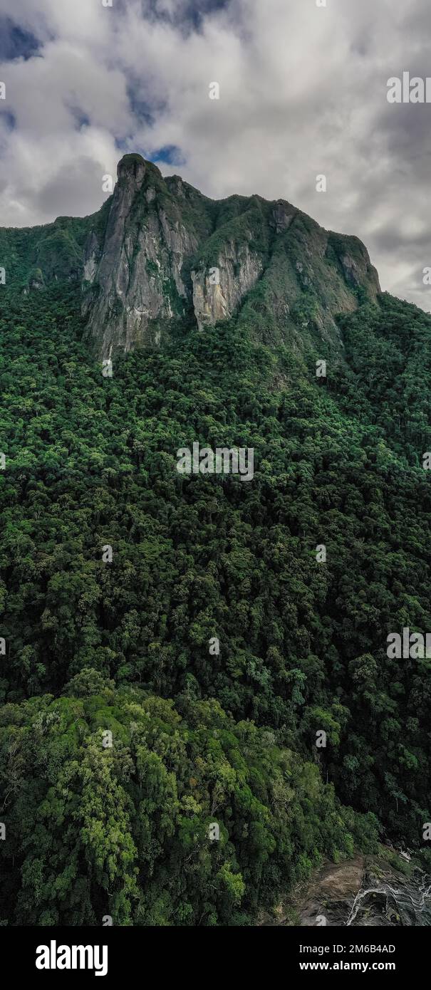 Summit near Camp Marojejya in Marojejy National Park, Marojejy, drone ...