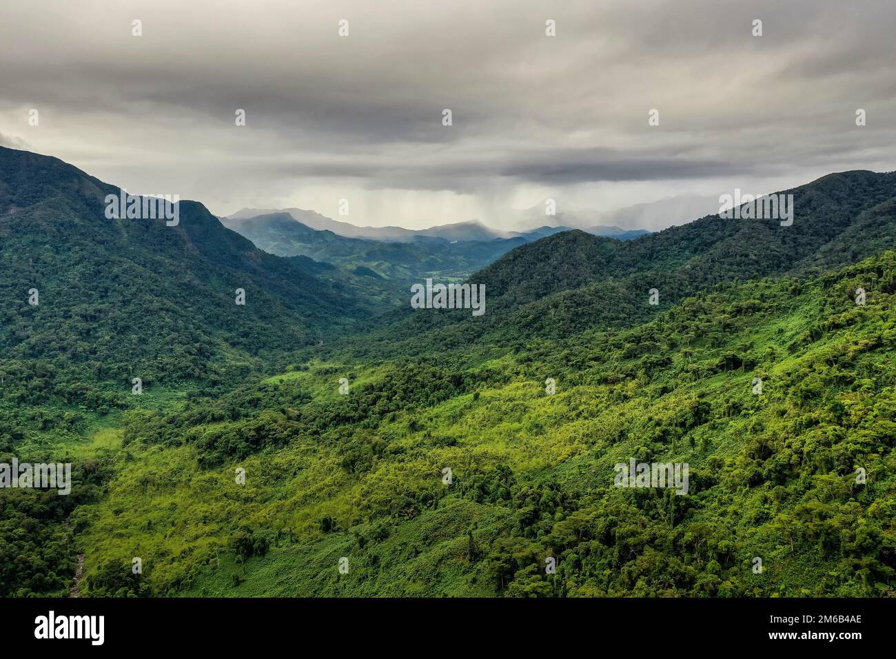Valley in Marojejy National Park, Marojejy, drone shot, North ...