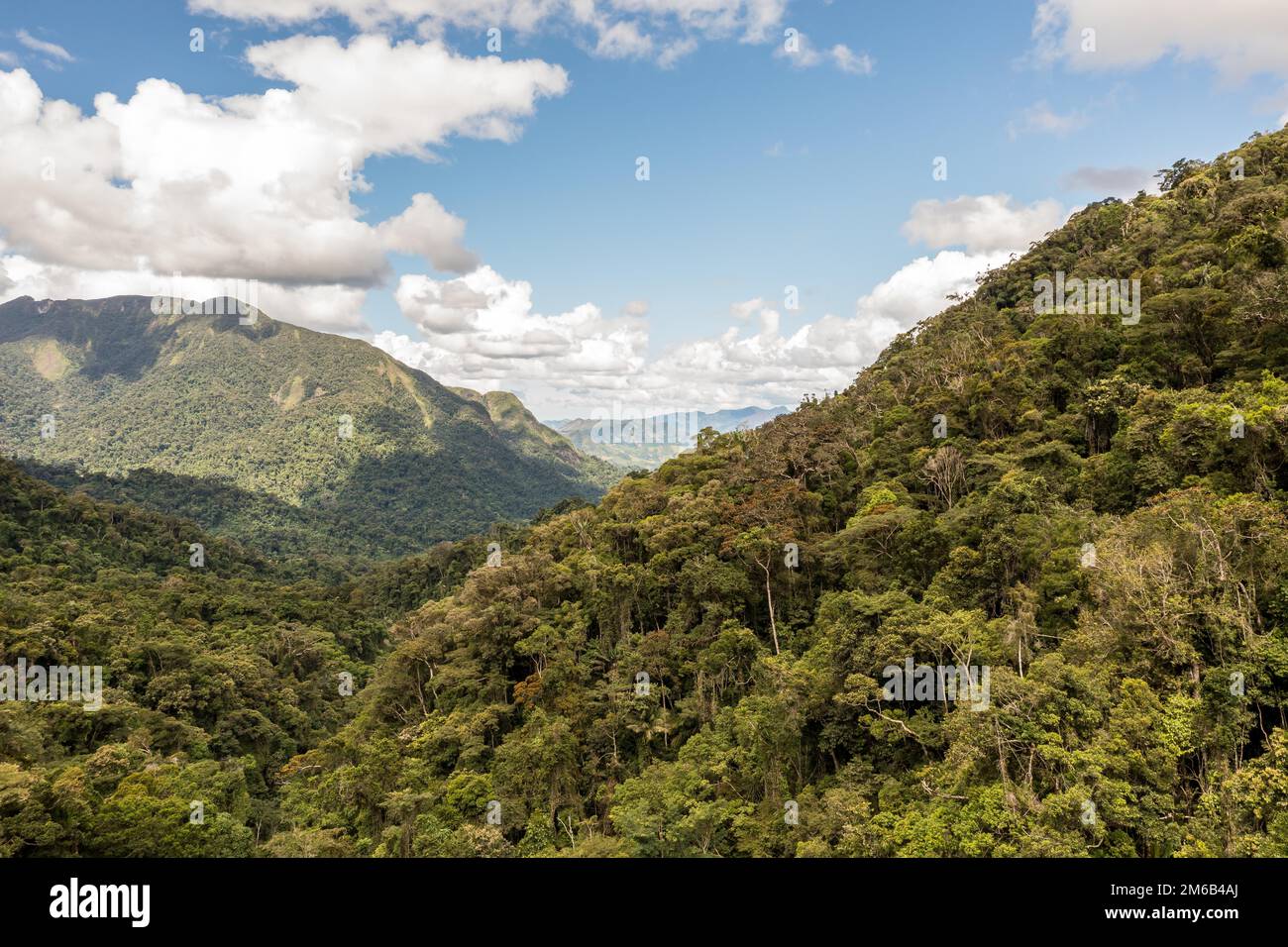 Valley in Marojejy National Park, Marojejy, drone shot, North ...
