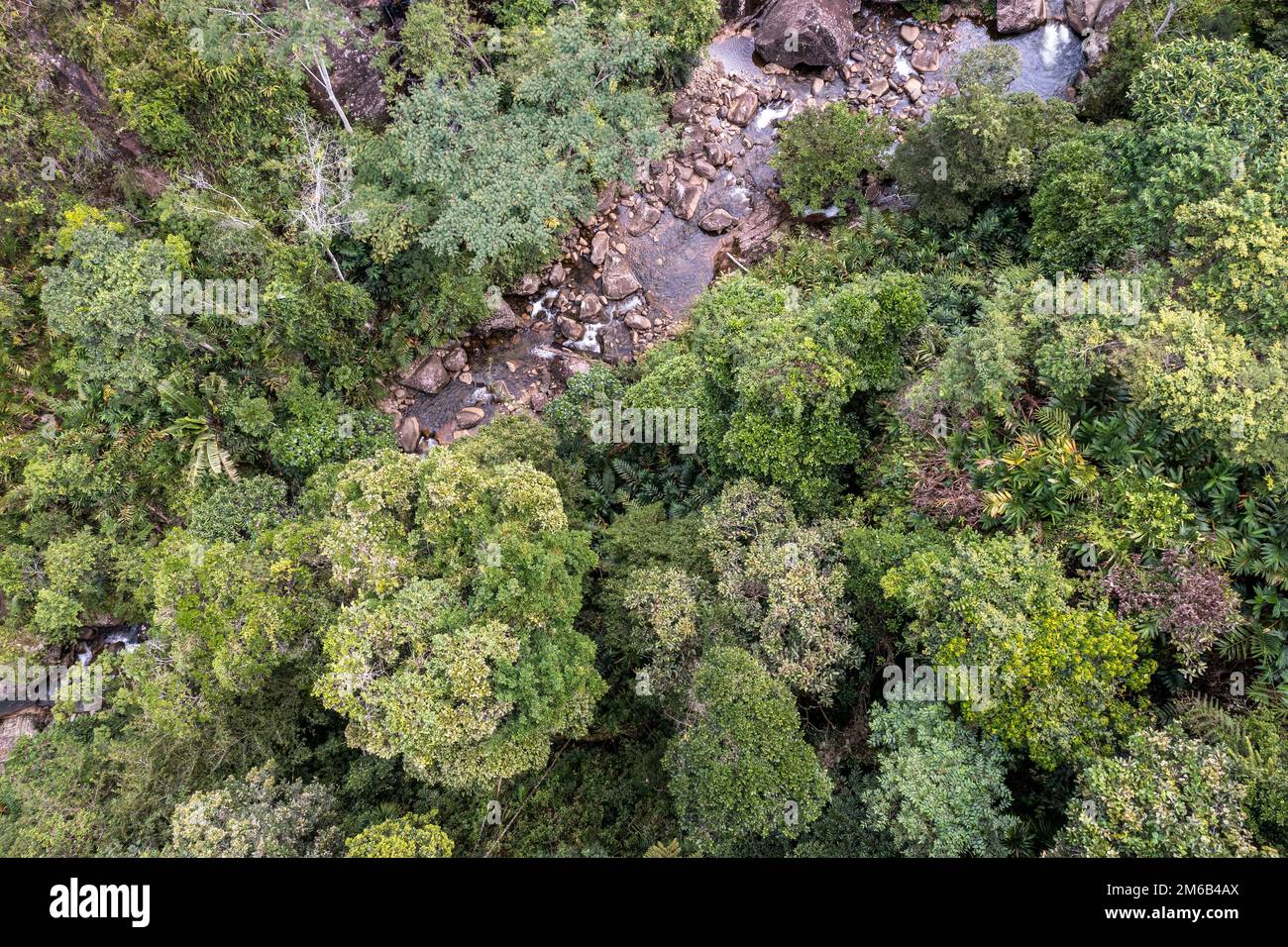 River in Marojejy National Park, Marojejy, drone shot, North Madagascar ...