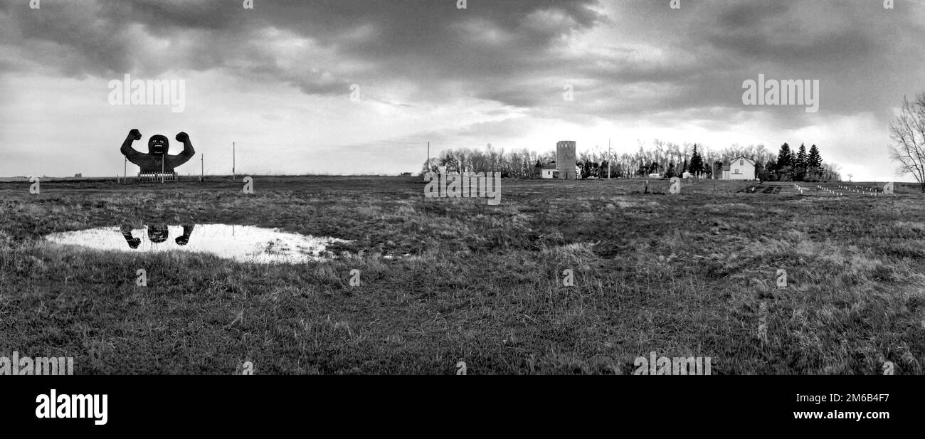A colossal roadside attraction of a 36-foot-tall gorilla statue in a ...