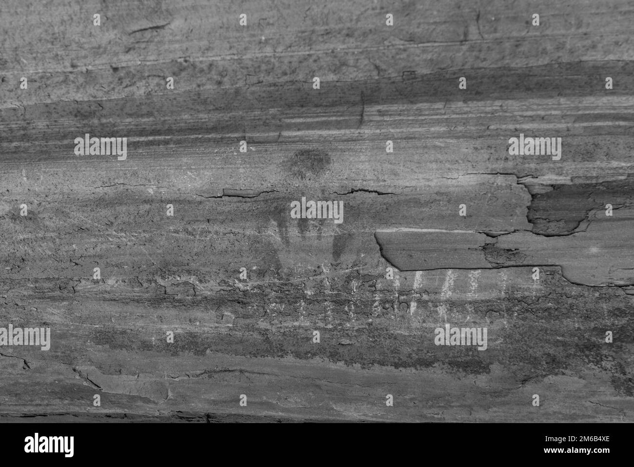 Backpacking in Grand Gulch and viewing Anasazi dwellings and rock art ...