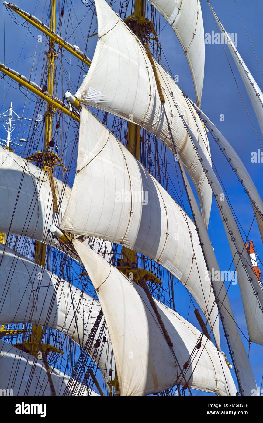 Sails of the Gorch Fock Stock Photo - Alamy