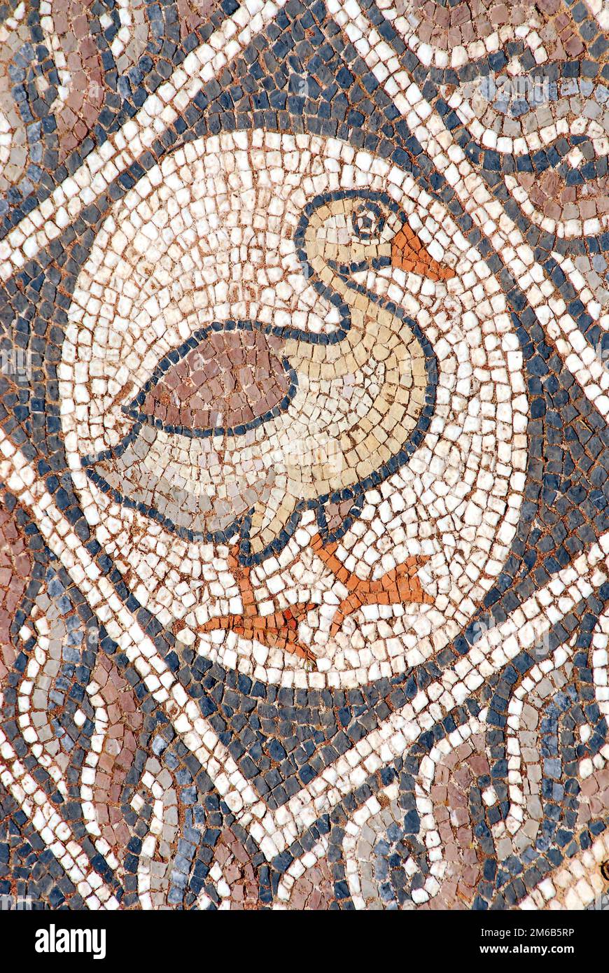 goose, colorful mosaic, Delphi, ancient sacred precinct, Archaeological ...
