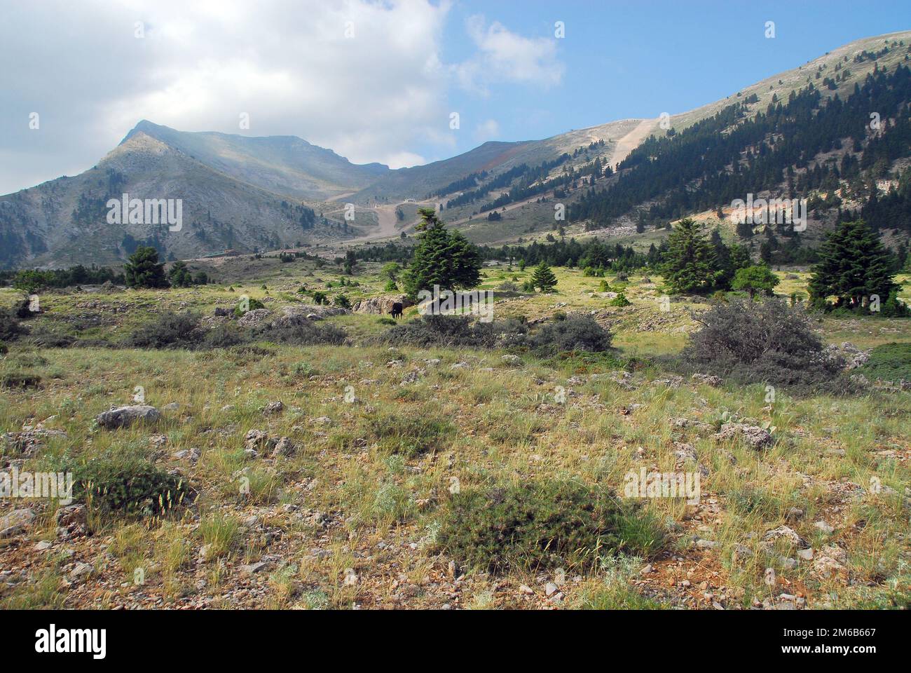 Chelmos mountain hi-res stock photography and images - Alamy