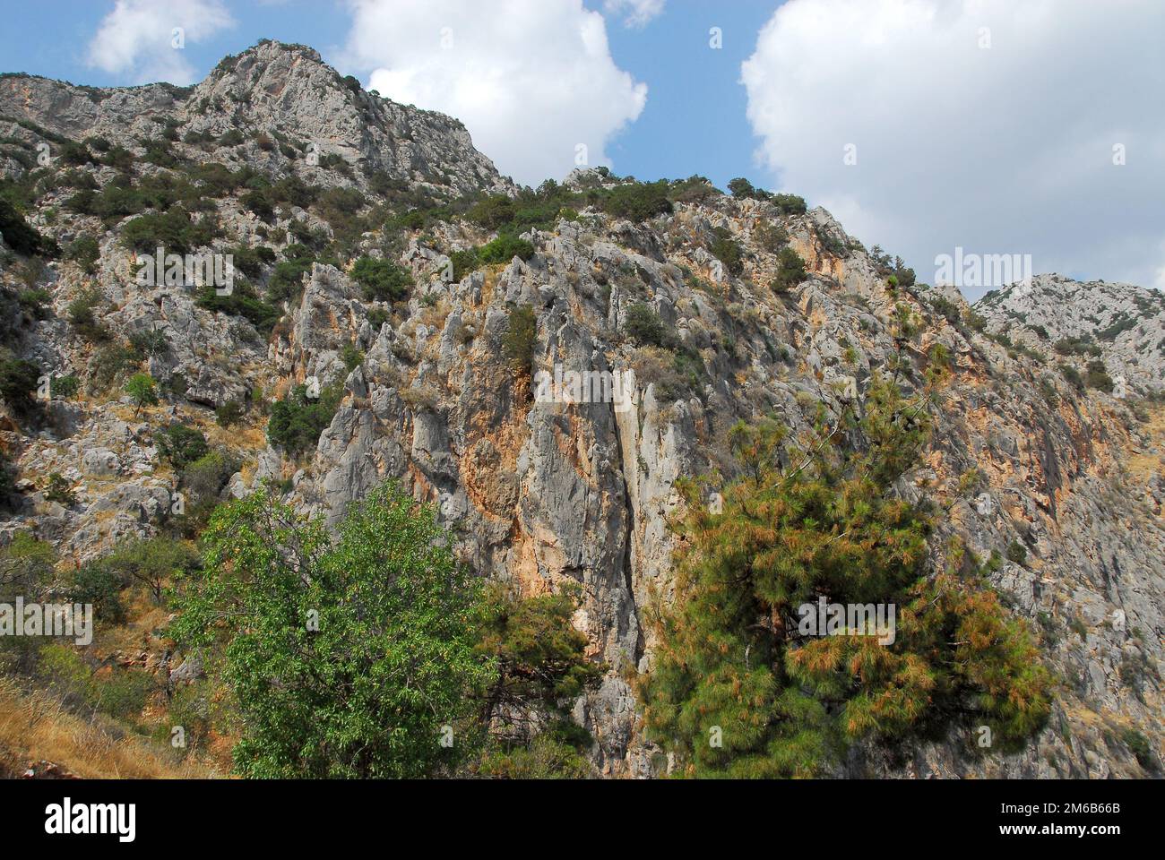 Chelmos hi-res stock photography and images - Alamy