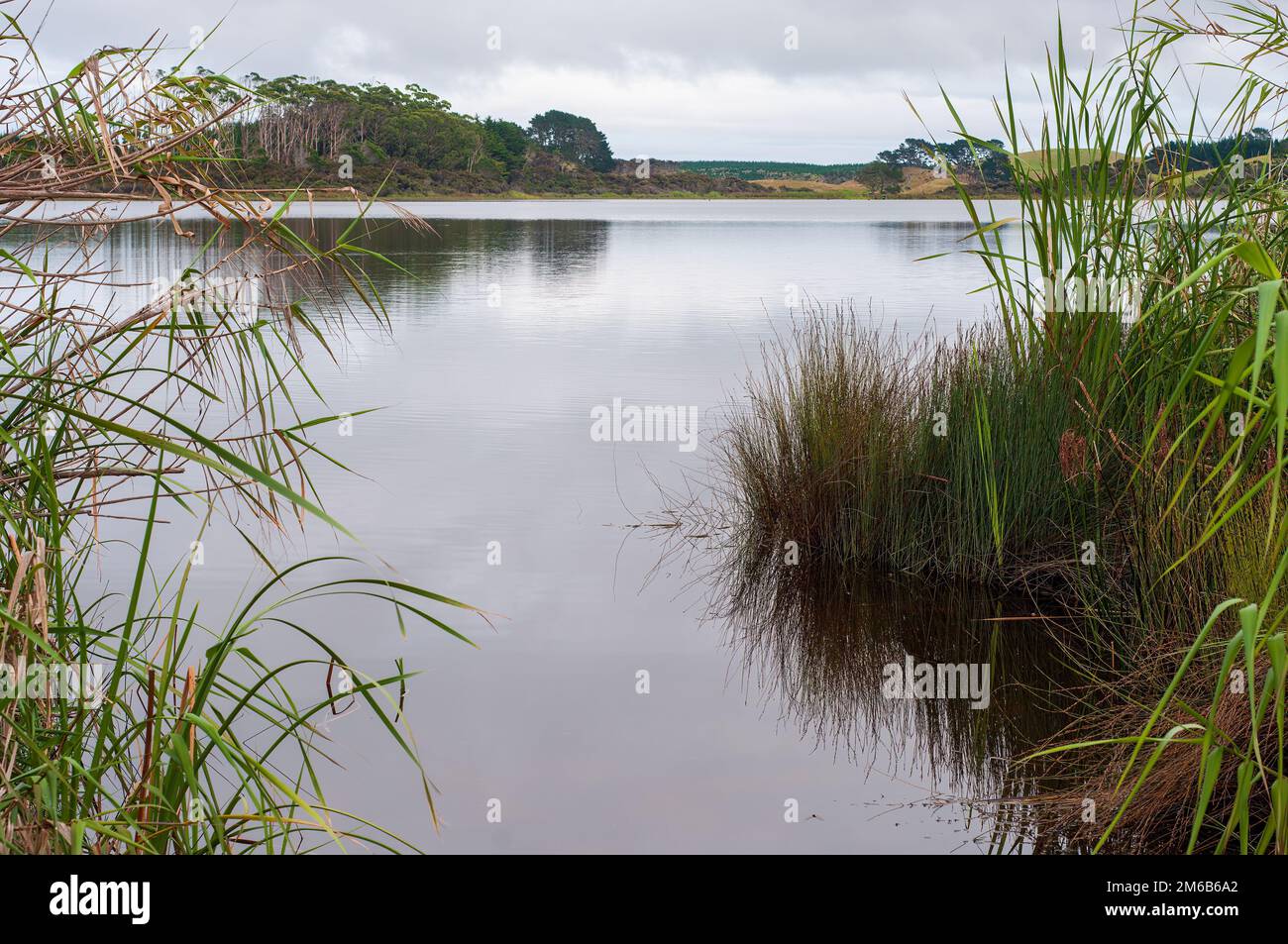 Houhora harbour hi-res stock photography and images - Alamy