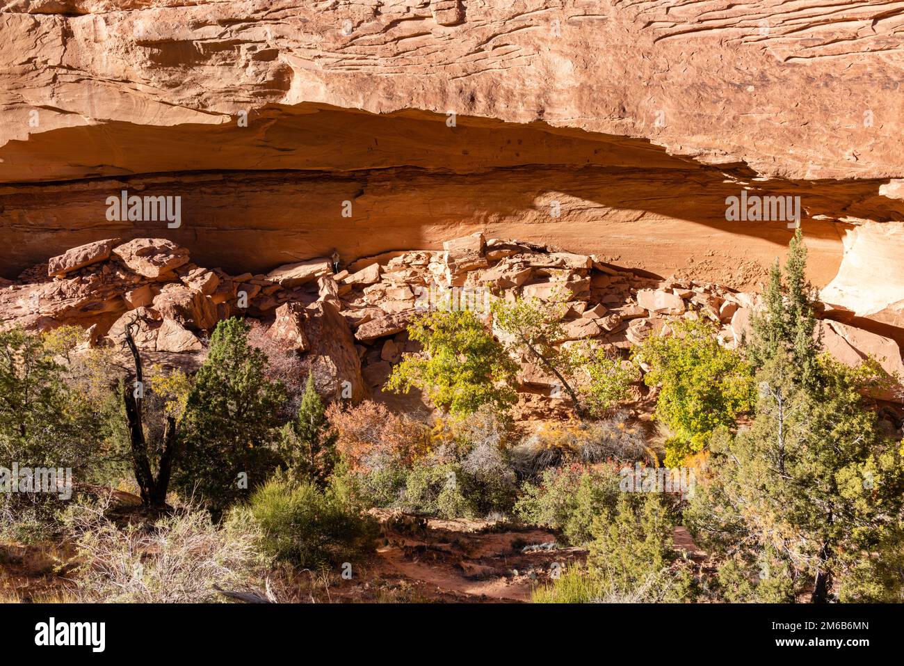 Green Mask Ruin. Backpacking in Grand Gulch and viewing Anasazi ...