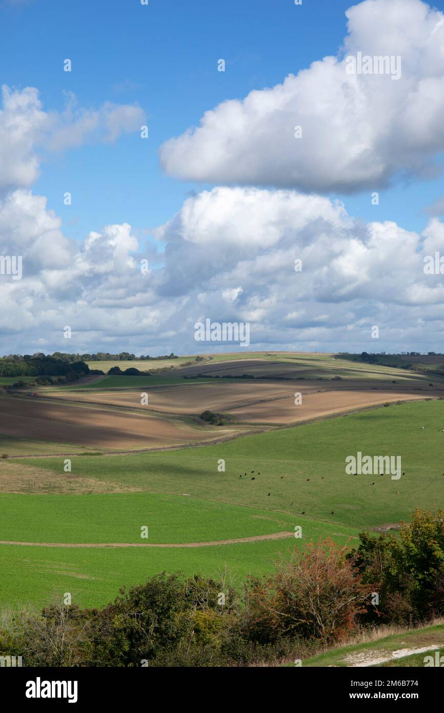 South downs landscape hi-res stock photography and images - Alamy
