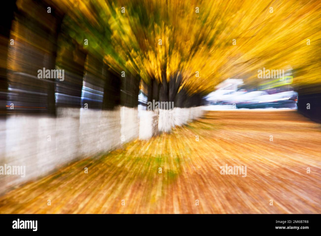 Autumn alley abstraction Stock Photo - Alamy