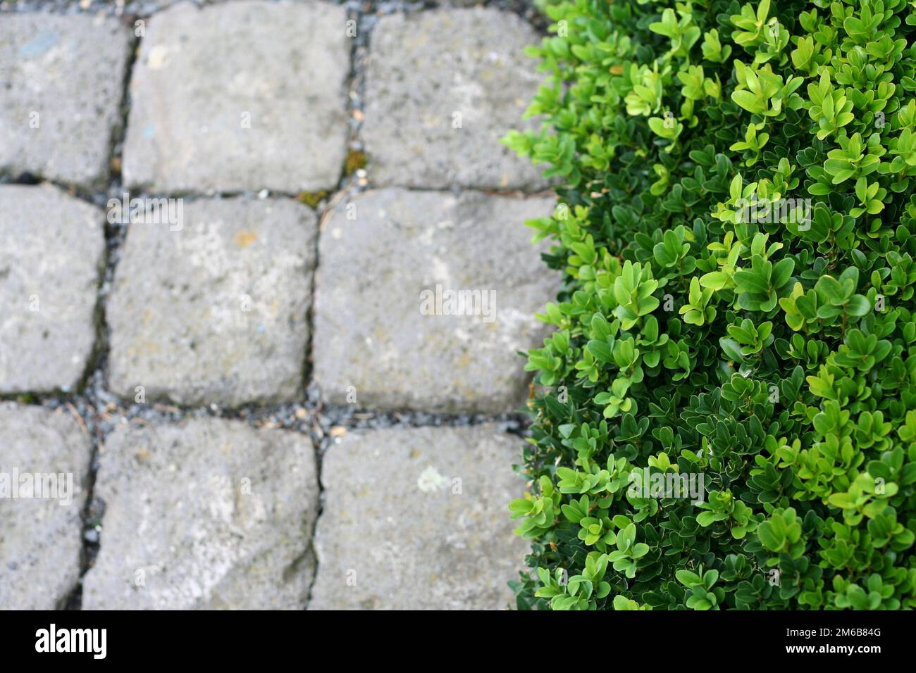 Boxtree hi-res stock photography and images - Alamy