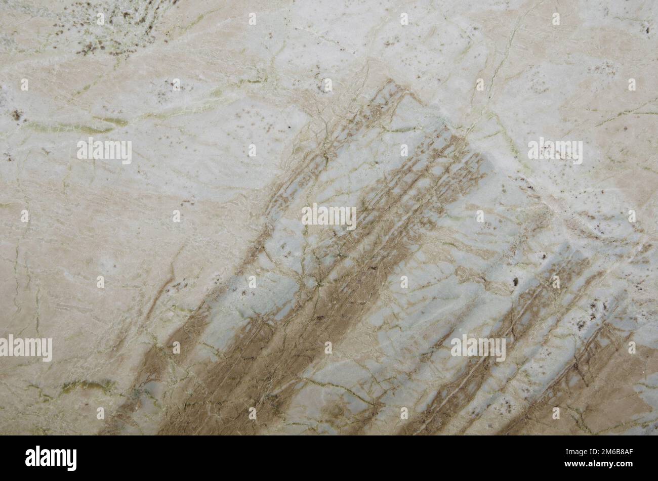 Corteccia hi-res stock photography and images - Alamy