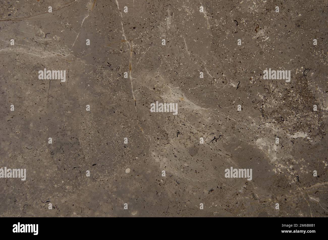 Grigio armani texture hi-res stock photography and images - Alamy