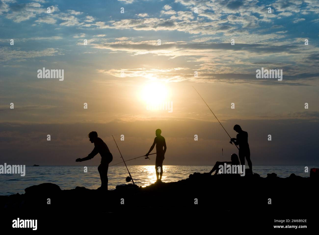 Best fish hi-res stock photography and images - Alamy