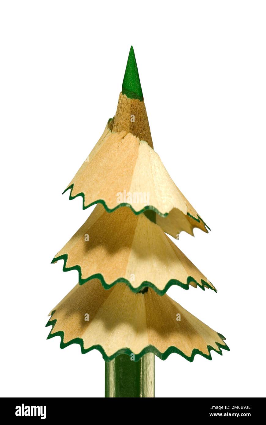 Fur-tree - stick Stock Photo - Alamy