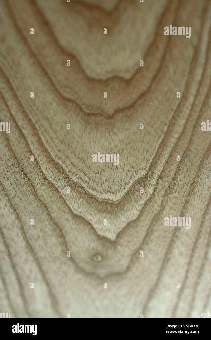 Ash wood texture hi-res stock photography and images - Alamy