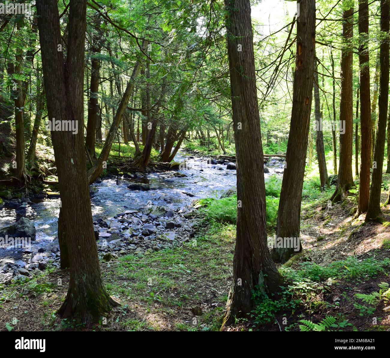 Lachute hi-res stock photography and images - Alamy