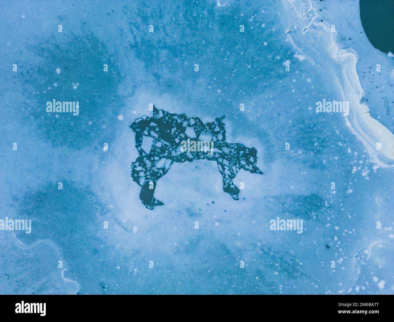 The outline of an animal on the surface of the ice that fell into the ...