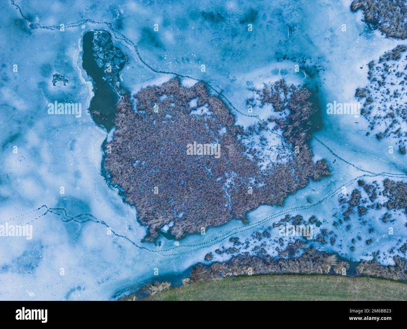 Panoramic aerial view of a frozen lake with animal footprints. Animal ...