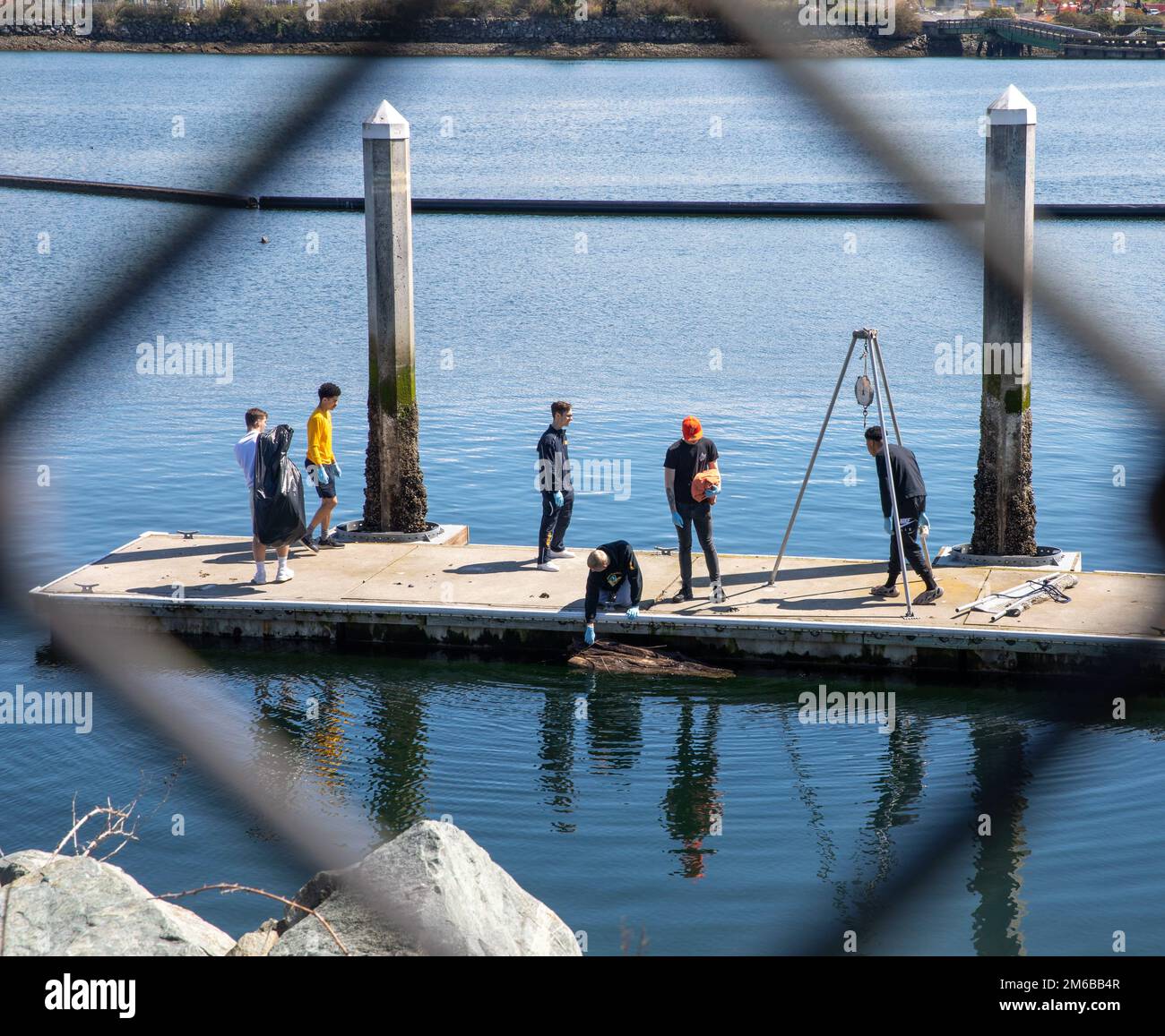 Sailors clean a dock in honor of Earth Day at Naval Station Everett in ...