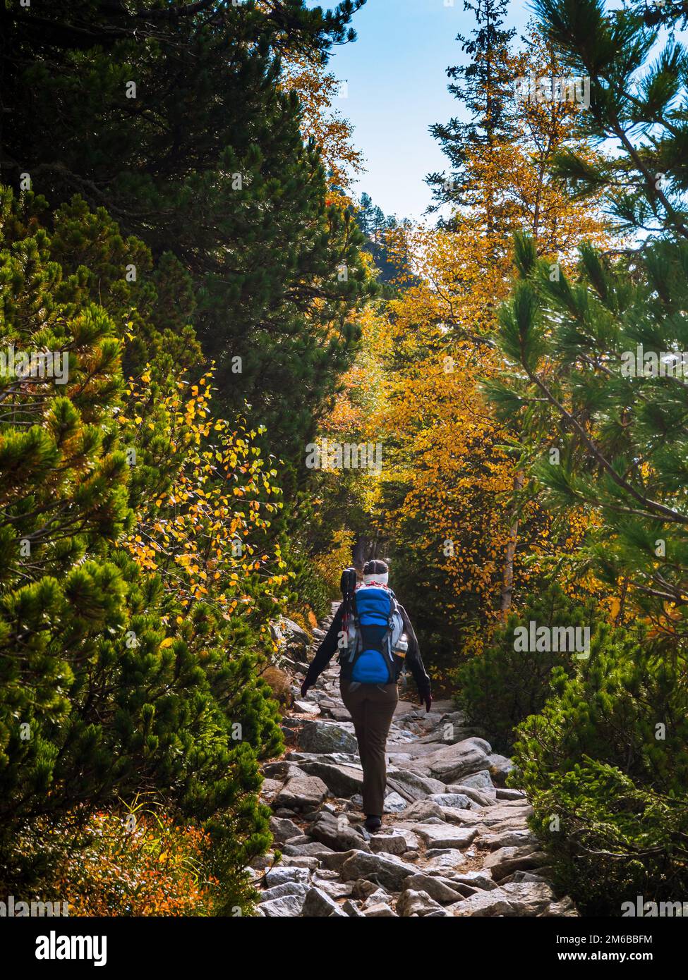 Young woman with a backpack hiking walking on a mountain trail path ...