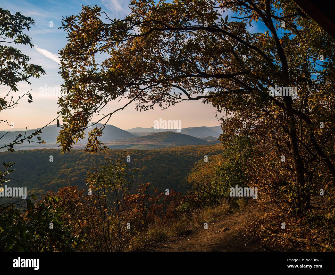 Heart shaped forest opening between trees hills sunset autumn fall ...