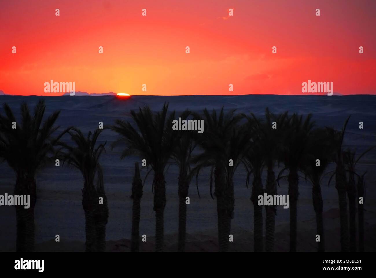 African sunset behind tree hi-res stock photography and images - Alamy
