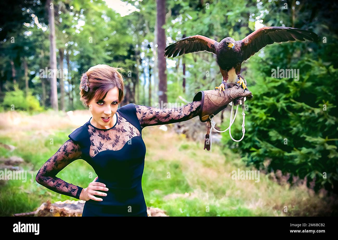 Lady hawk hi-res stock photography and images - Alamy