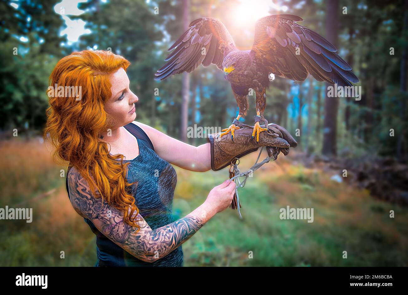 Lady hawk hi-res stock photography and images - Alamy