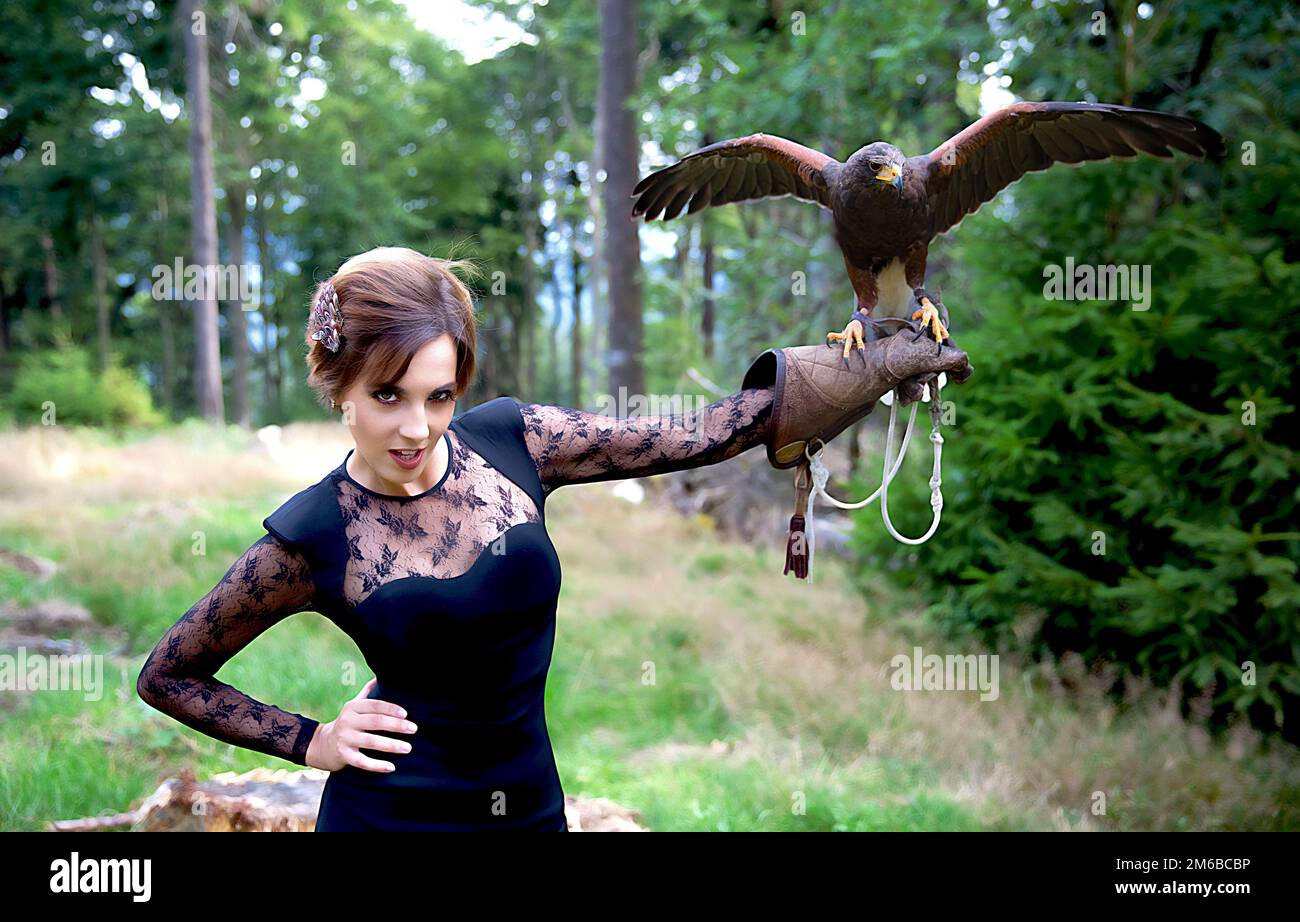The Lady with the harris hawk Stock Photo - Alamy