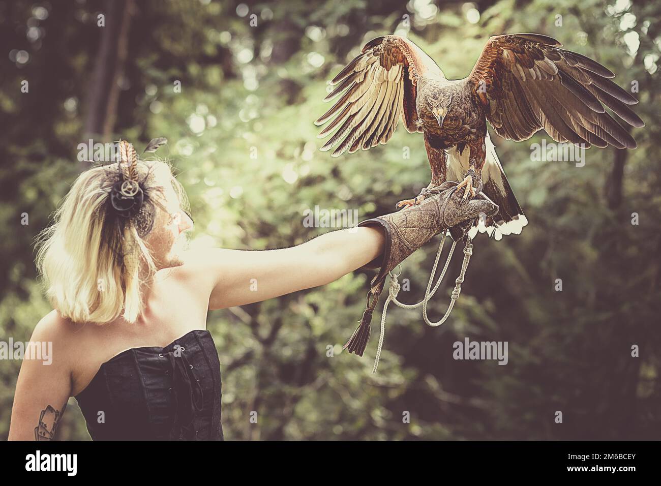 The Lady with the harris hawk Stock Photo - Alamy