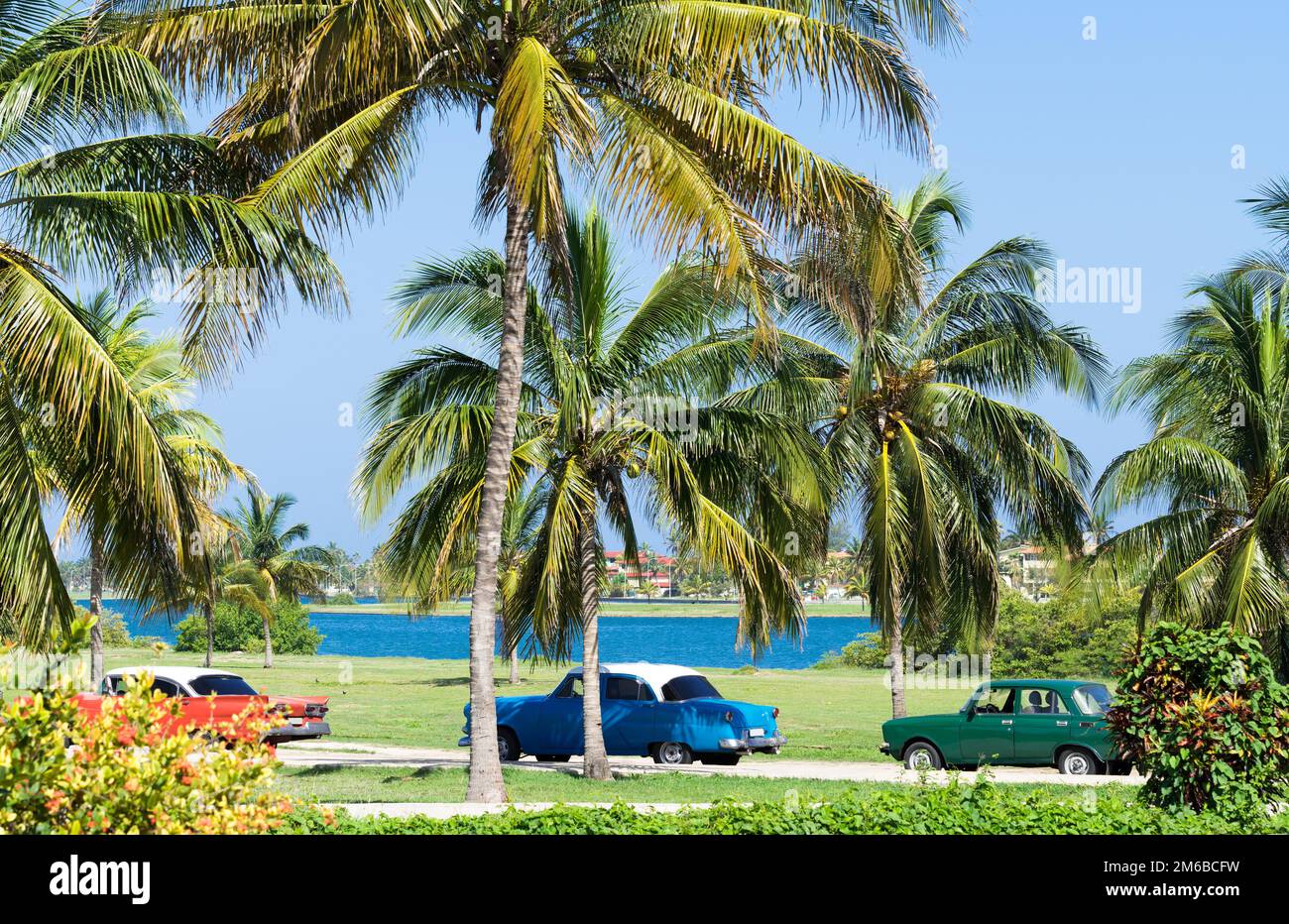 Havana Cuba - classic cars parked under palms near the beach Stock ...