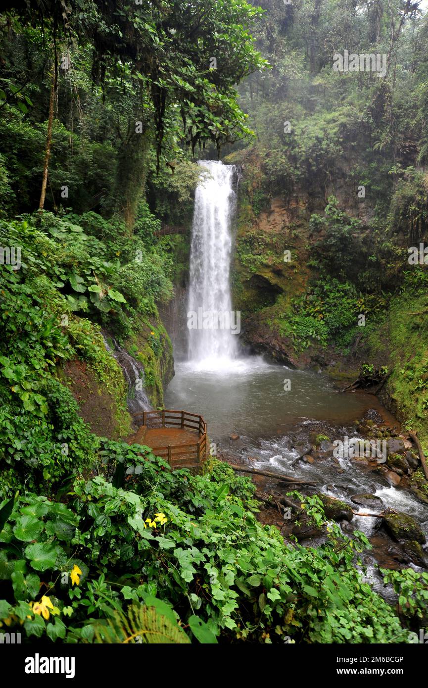 A quite location in the Costa Rican rainforest with a spectacular view ...