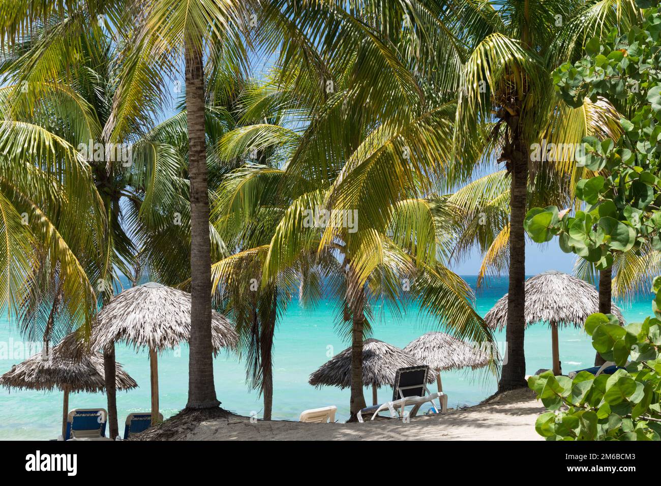 Cuban dream beach in Varadero with sunlounger Stock Photo - Alamy