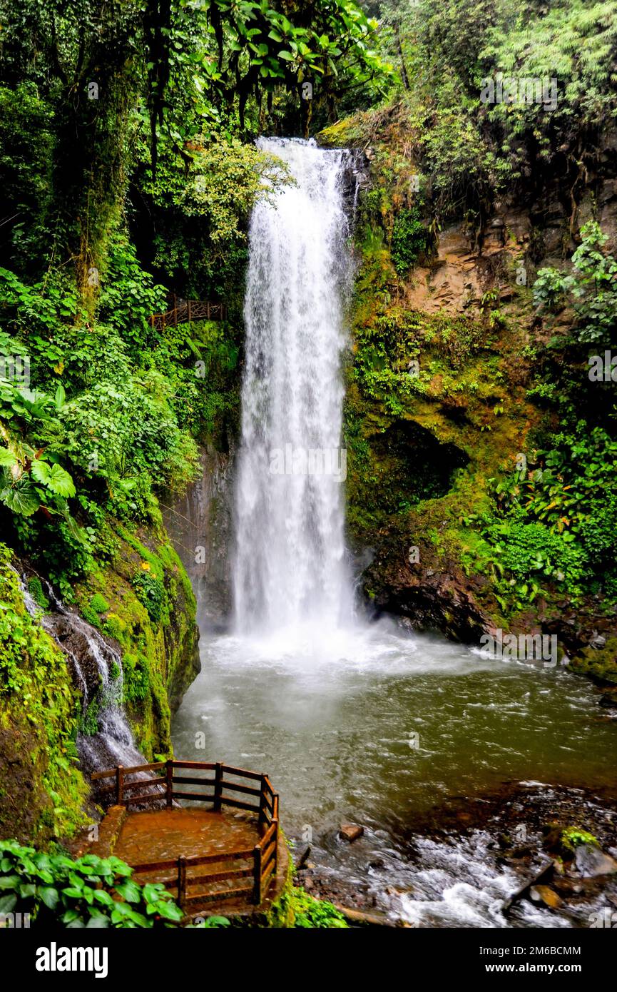 Waterfall in the rainforest of Costa Rica Stock Photo - Alamy