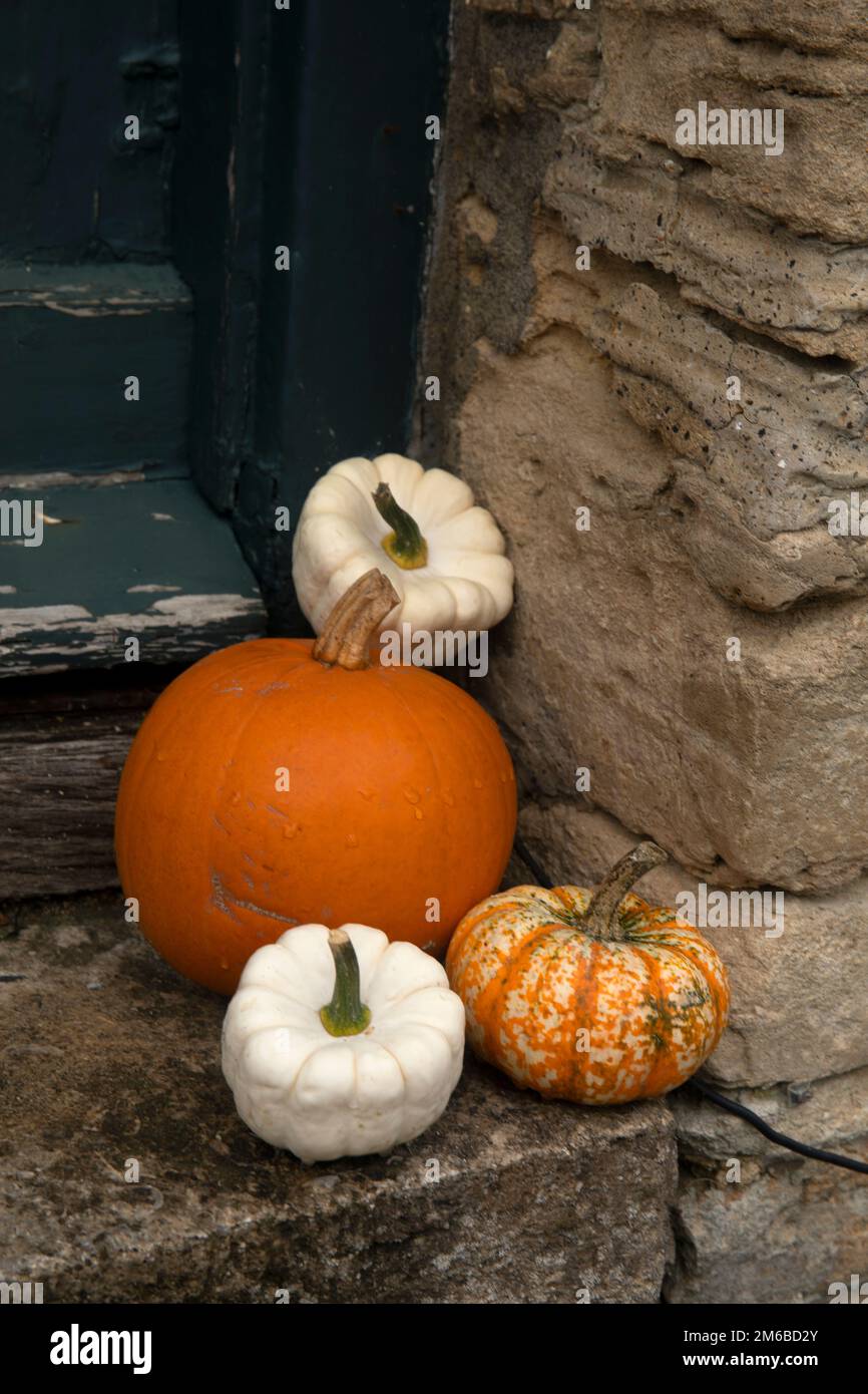 Odd shaped pumpkin hi-res stock photography and images - Alamy