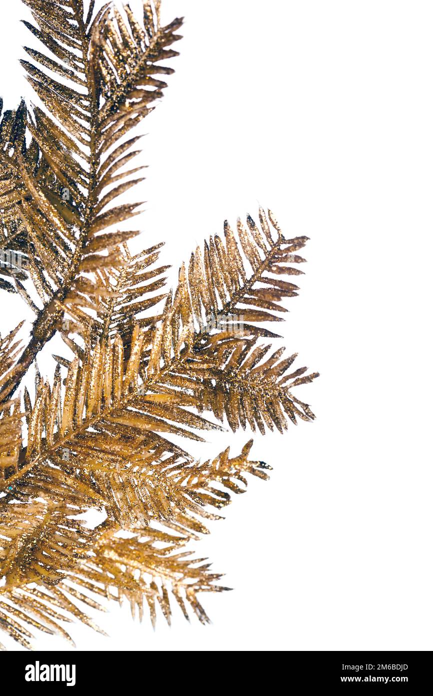 Festive christmas tree branch Cut Out Stock Images & Pictures - Alamy