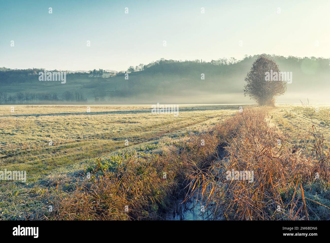 Low fog hi-res stock photography and images - Alamy