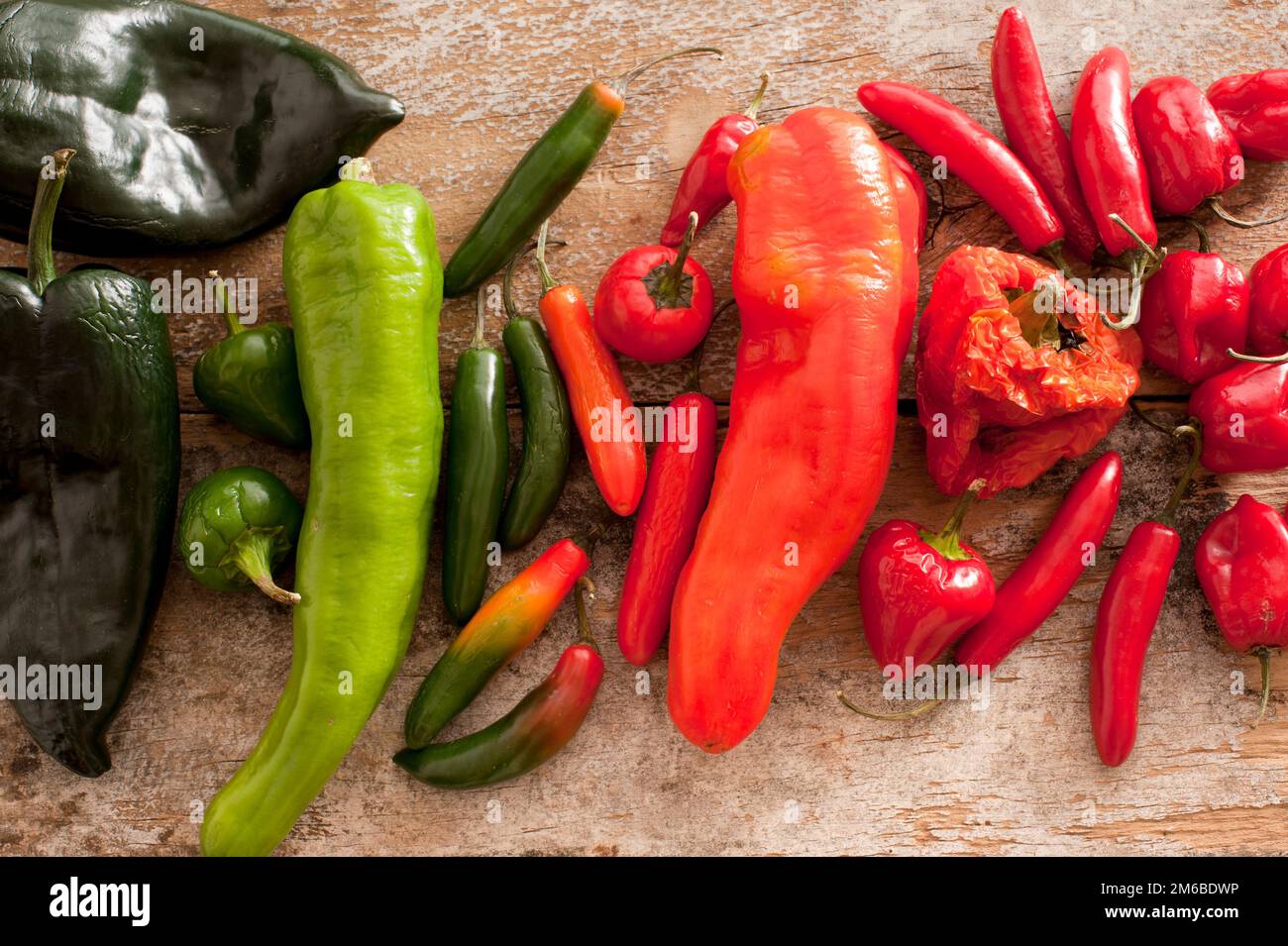 Different varieties and colors of chili peppers Stock Photo - Alamy