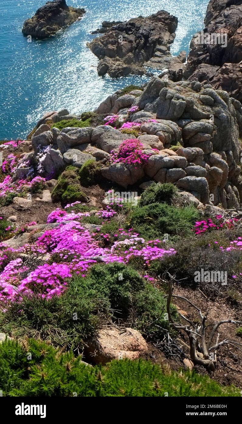 Cliffs steep hi-res stock photography and images - Alamy