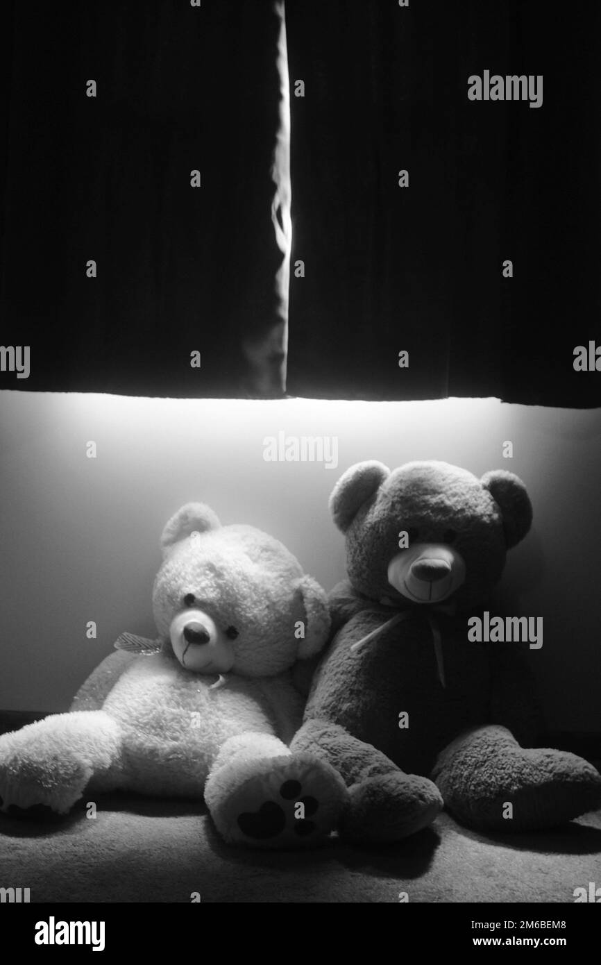 Teddy bedroom Black and White Stock Photos & Images - Alamy