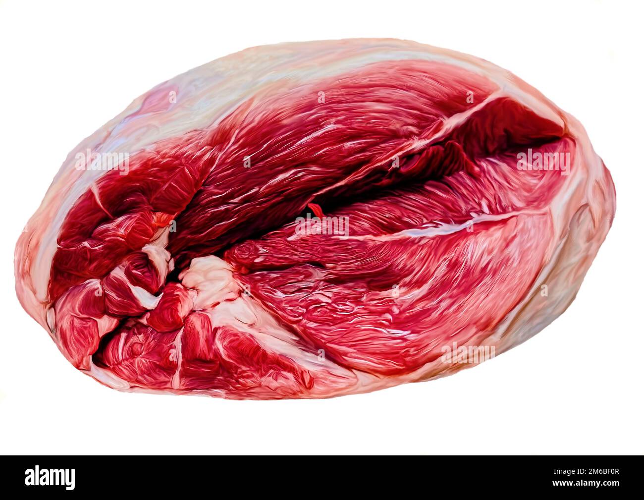 Fresh food drawing Cut Out Stock Images & Pictures - Alamy