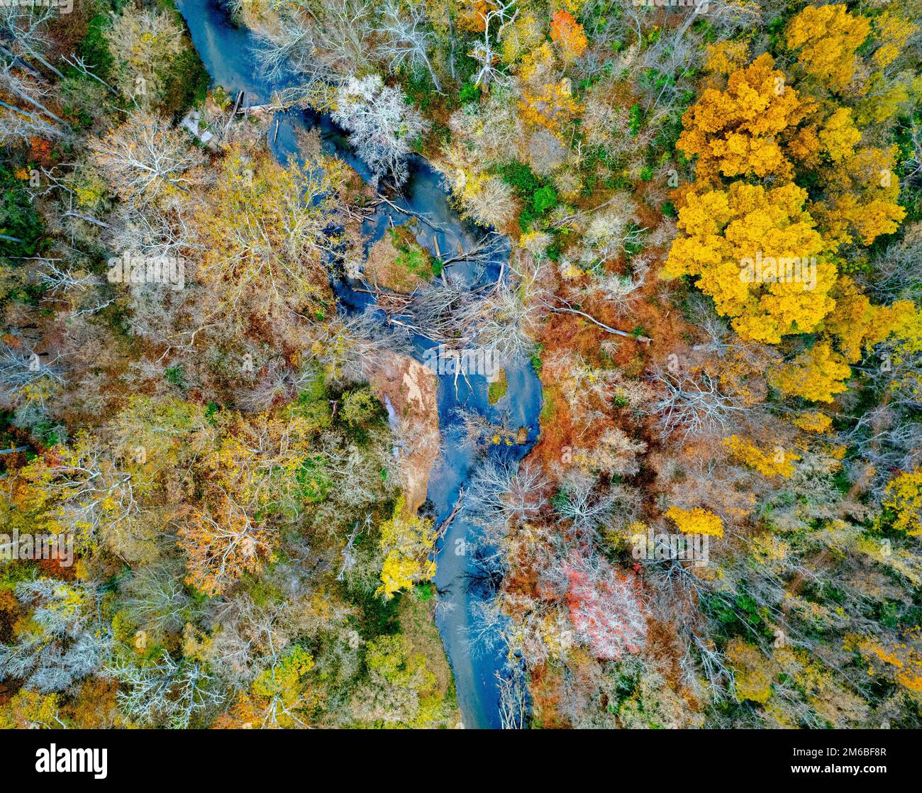 An aerial shot of fall foliage in a forest Stock Photo - Alamy