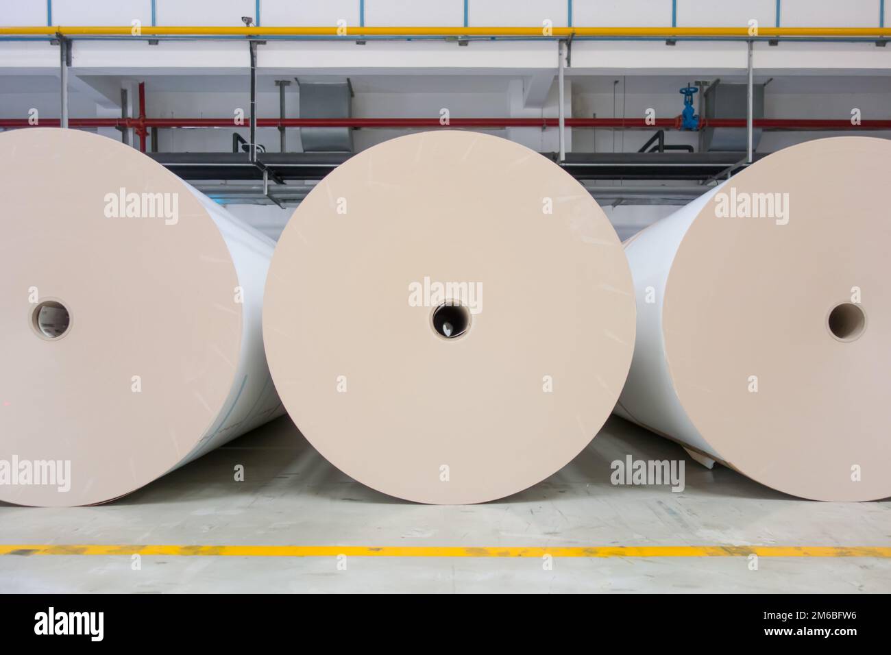The huge white paper rolls in the factory Stock Photo - Alamy