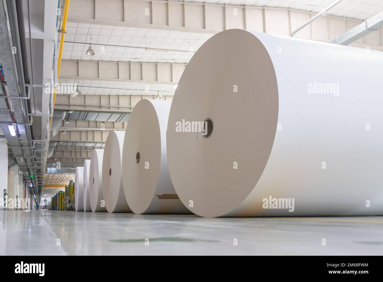 The huge white paper rolls in the factory Stock Photo - Alamy